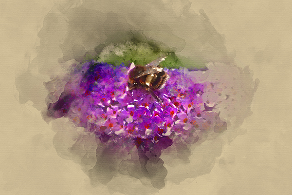 Digital painting by Greg Whiteman Art, Print and commissions Available